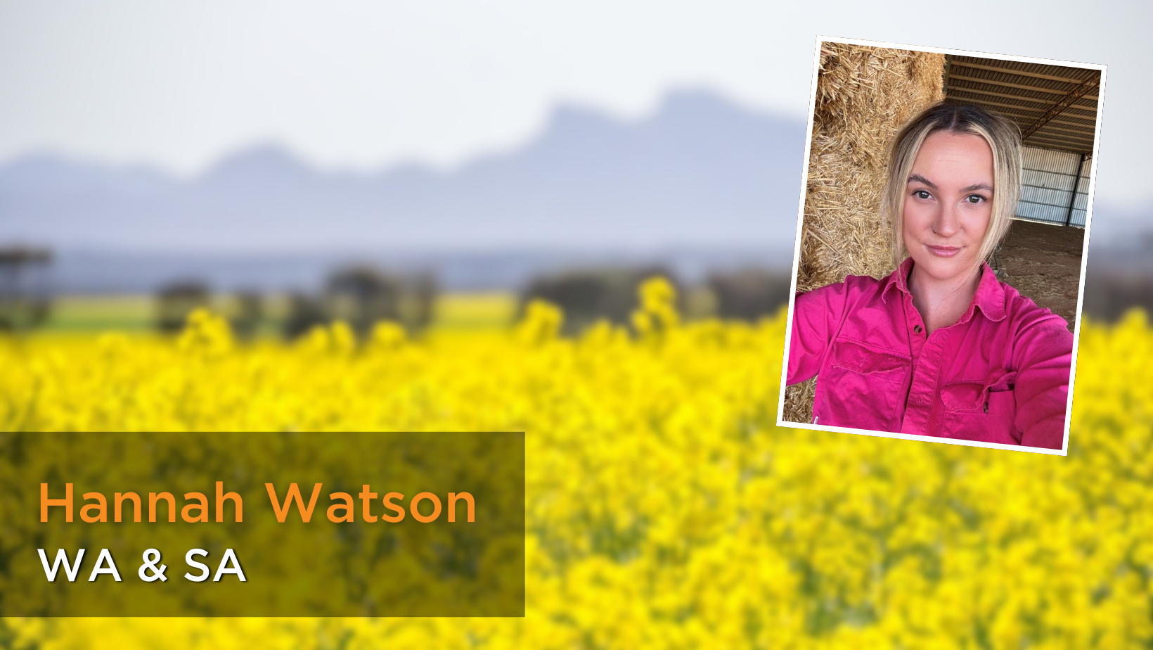 Paddock Perspective | Hannah Watson – Harrismith, WA & Mallala, SA ...
