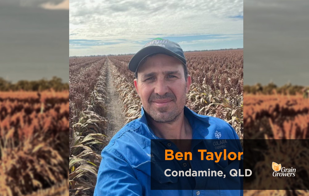 Paddock Perspective | Ben Taylor, Condamine QLD | Building a more ...