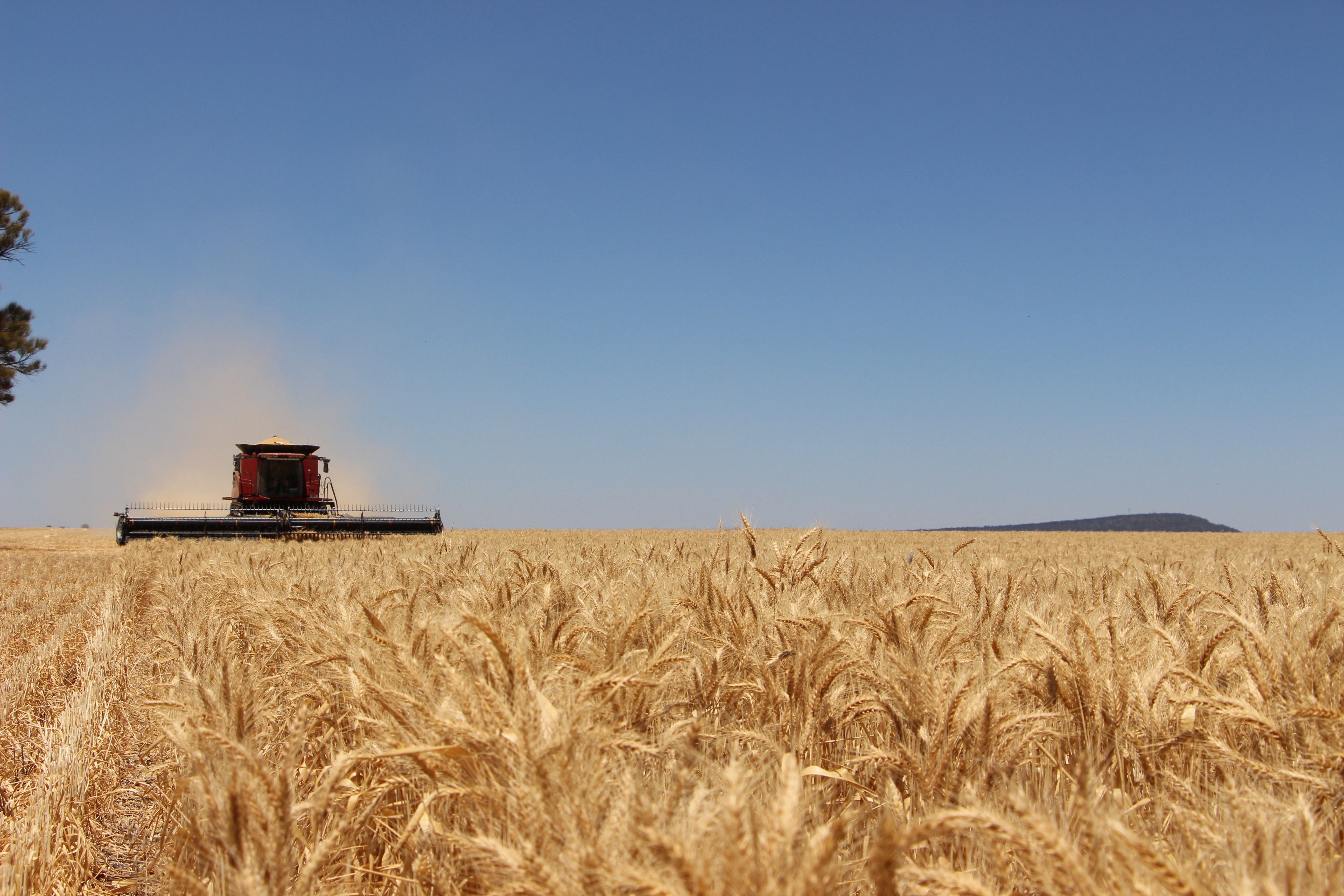 GrainGrowers Farm Inputs Policy | Building a more profitable and ...