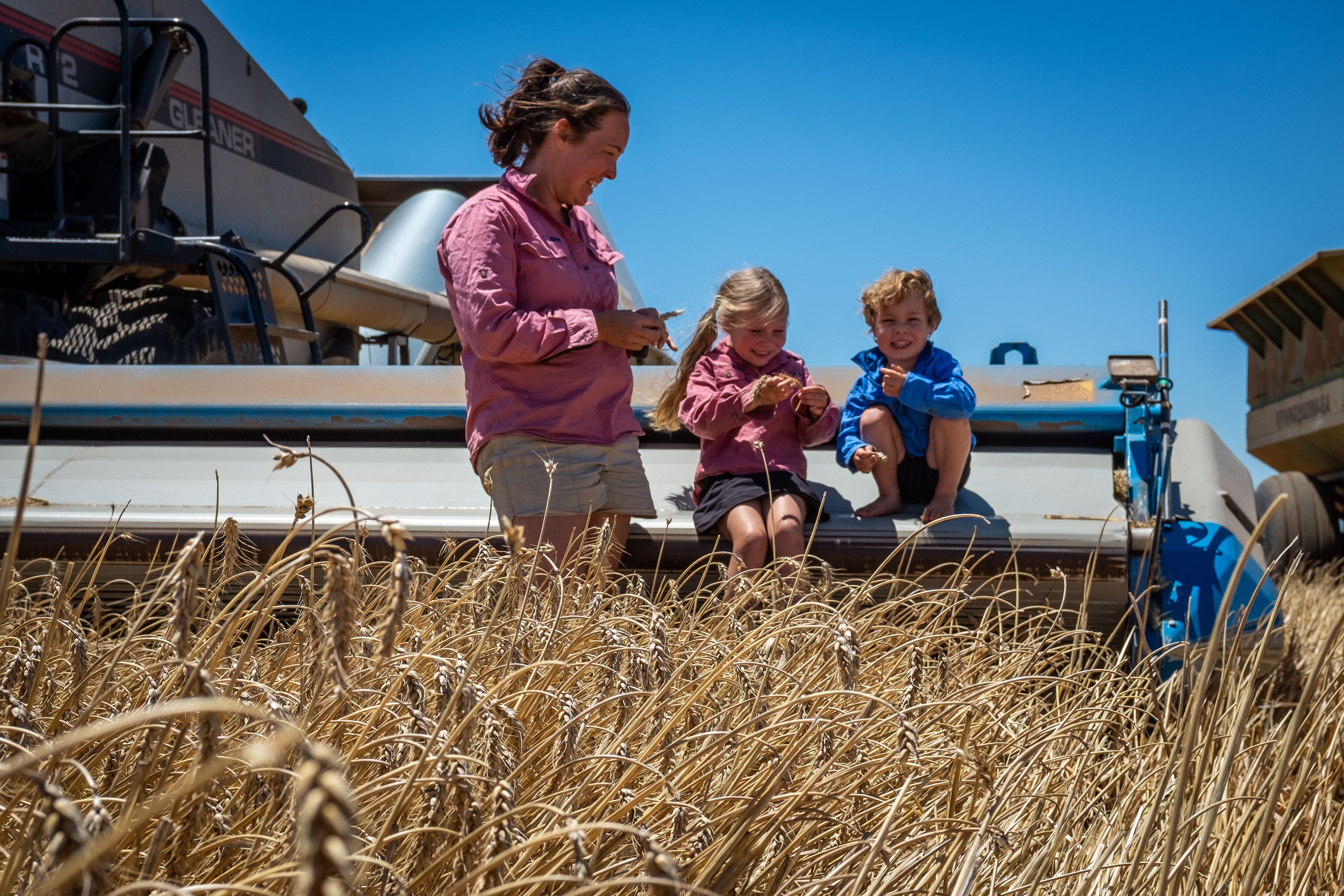 Paddock Perspective | Roanne and Gareth Scholz - Minnipa SA | Building ...