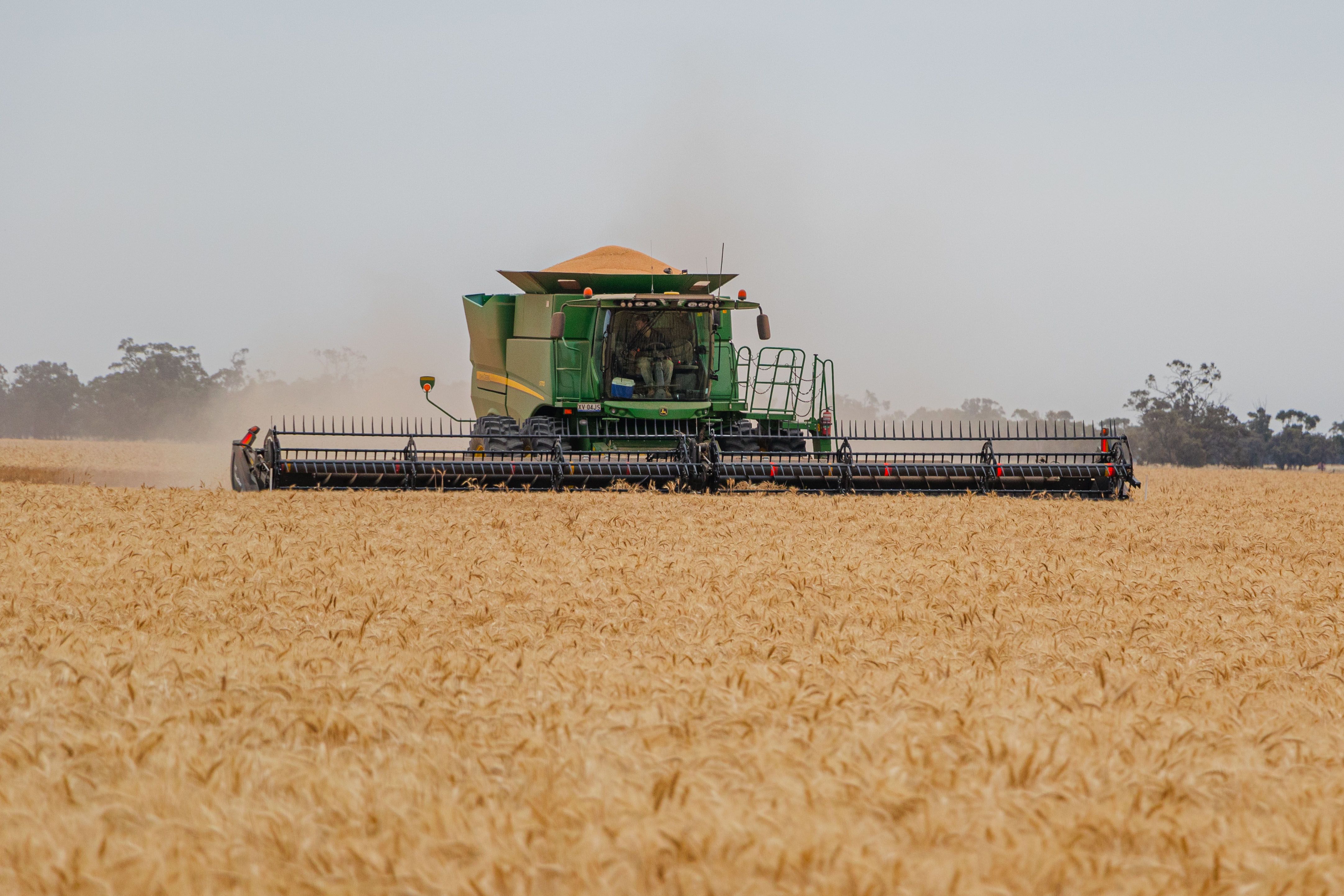 Why Australians should care about grain exports to Southeast Asia ...