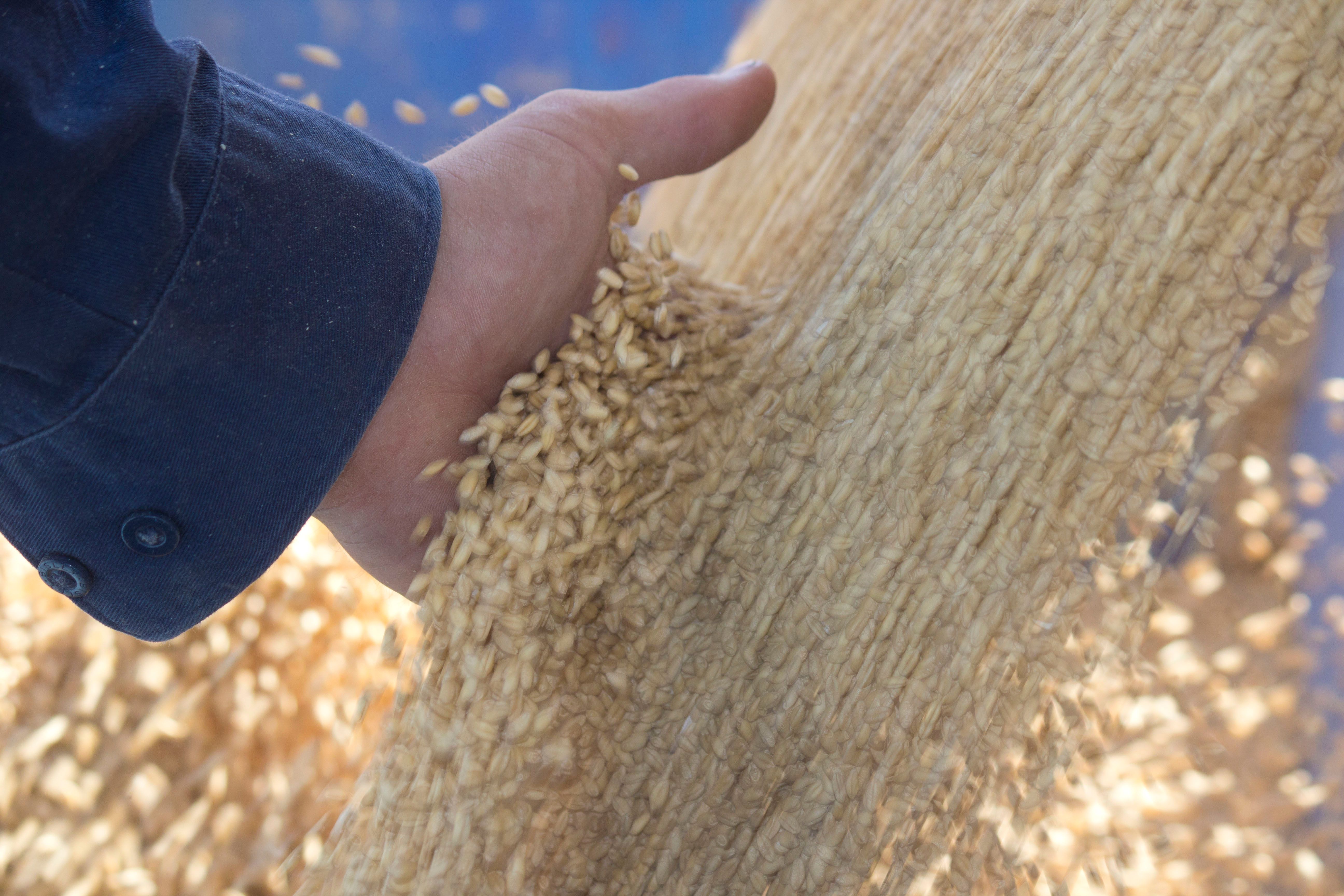 About Us | Building a more profitable and sustainable industry for ...