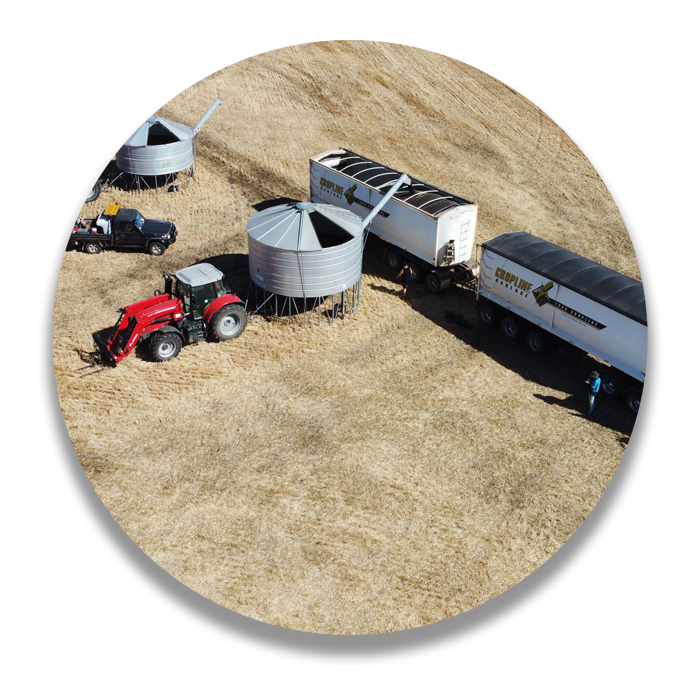 Connecting the Dots: Improving Australian Grain Supply Chain Efficiency ...
