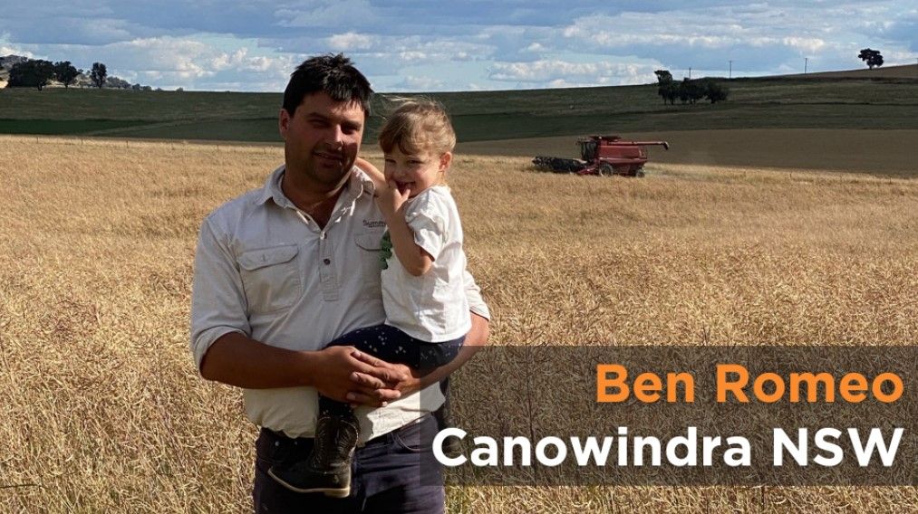 Paddock Perspectives | Ben Romeo NSW | Building a more profitable and ...
