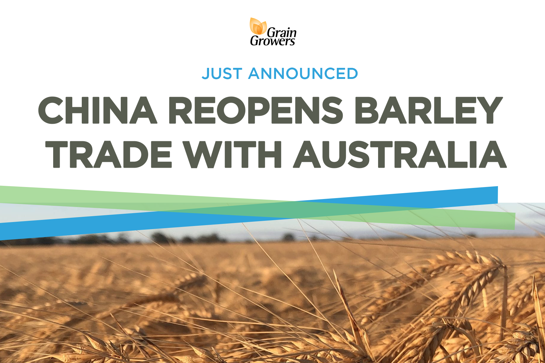 China reopens barley trade with Australia | Building a more profitable ...