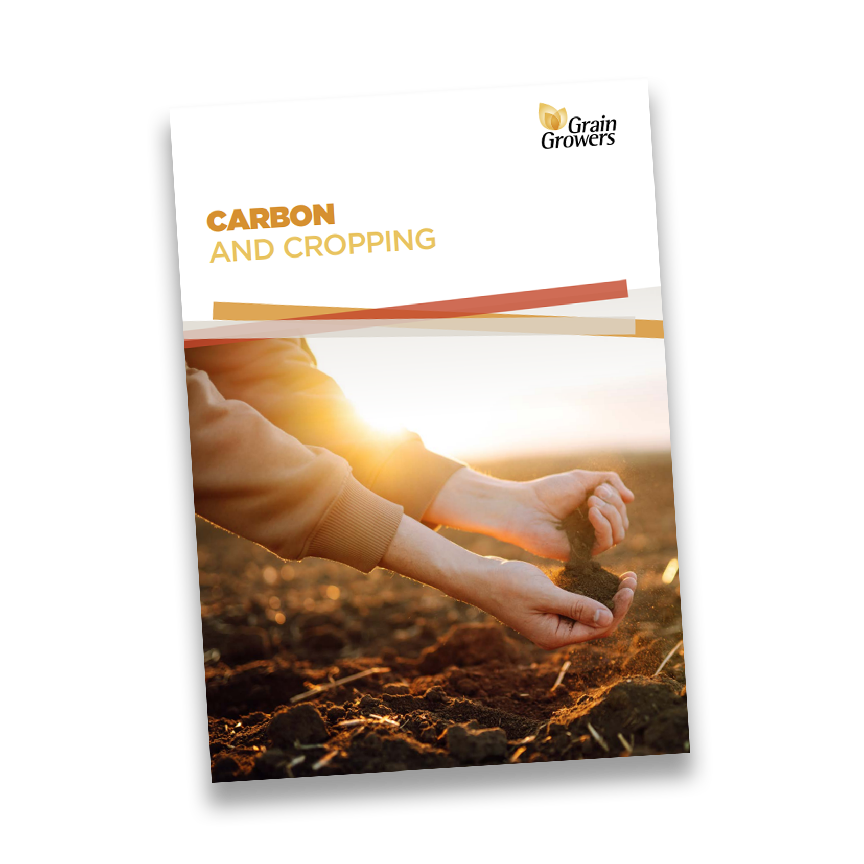 The Carbon Collection | Building a more profitable and sustainable ...