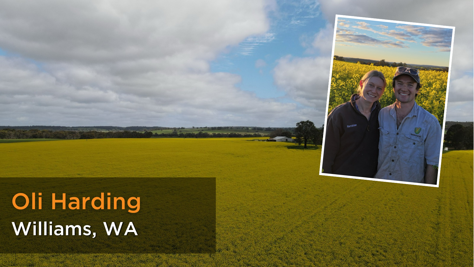 Paddock Perspective | Oli Harding – Williams, WA | Building a more ...