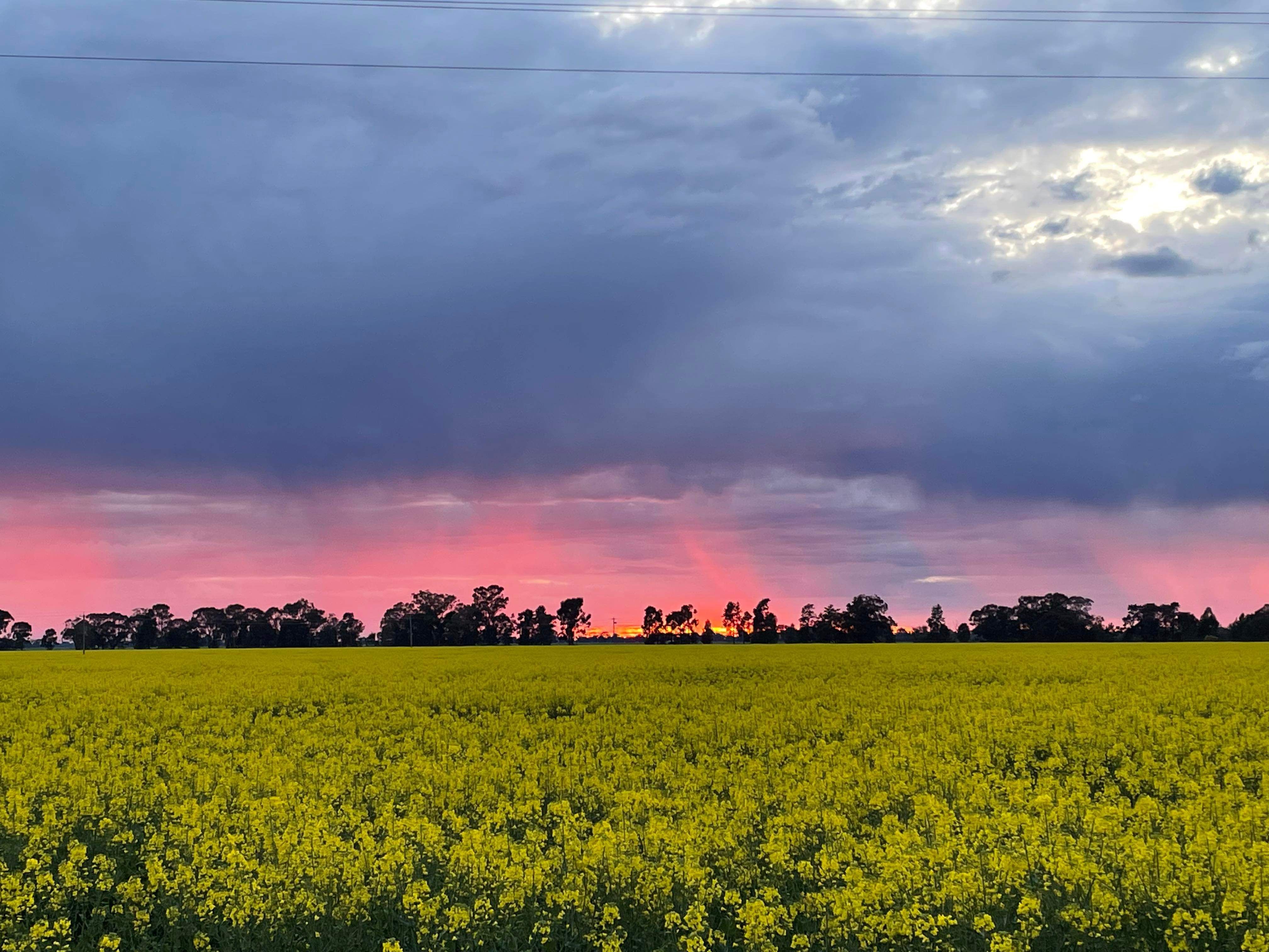 GrainGrowers submission to Climate Change Authority: 2024 Issues Paper ... GrainGrowers submission to Climate Change Authority: 2024 Issues Paper ...
