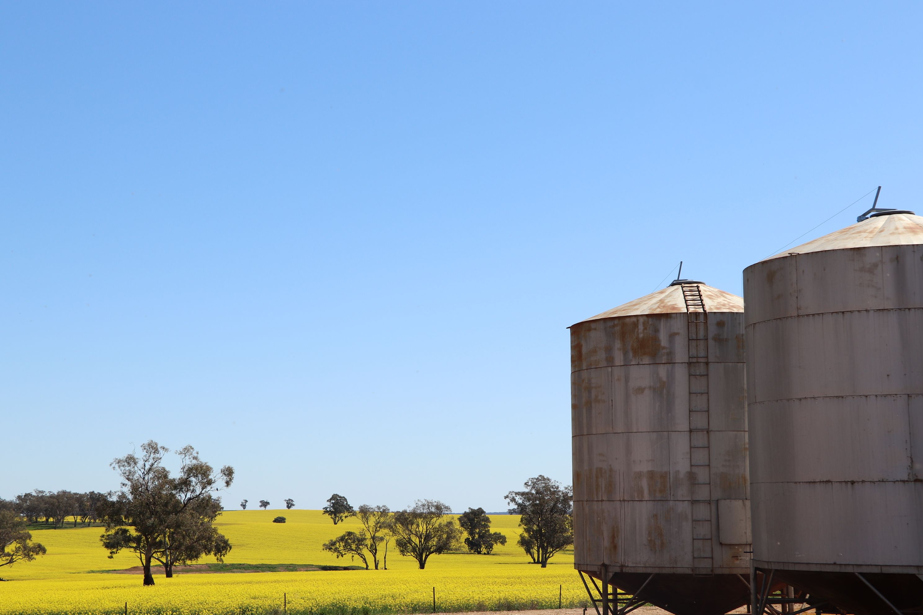 Safe storage on farm | Building a more profitable and sustainable ...