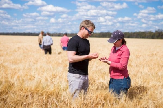 Grower and Industry Development | Building a more profitable and ...