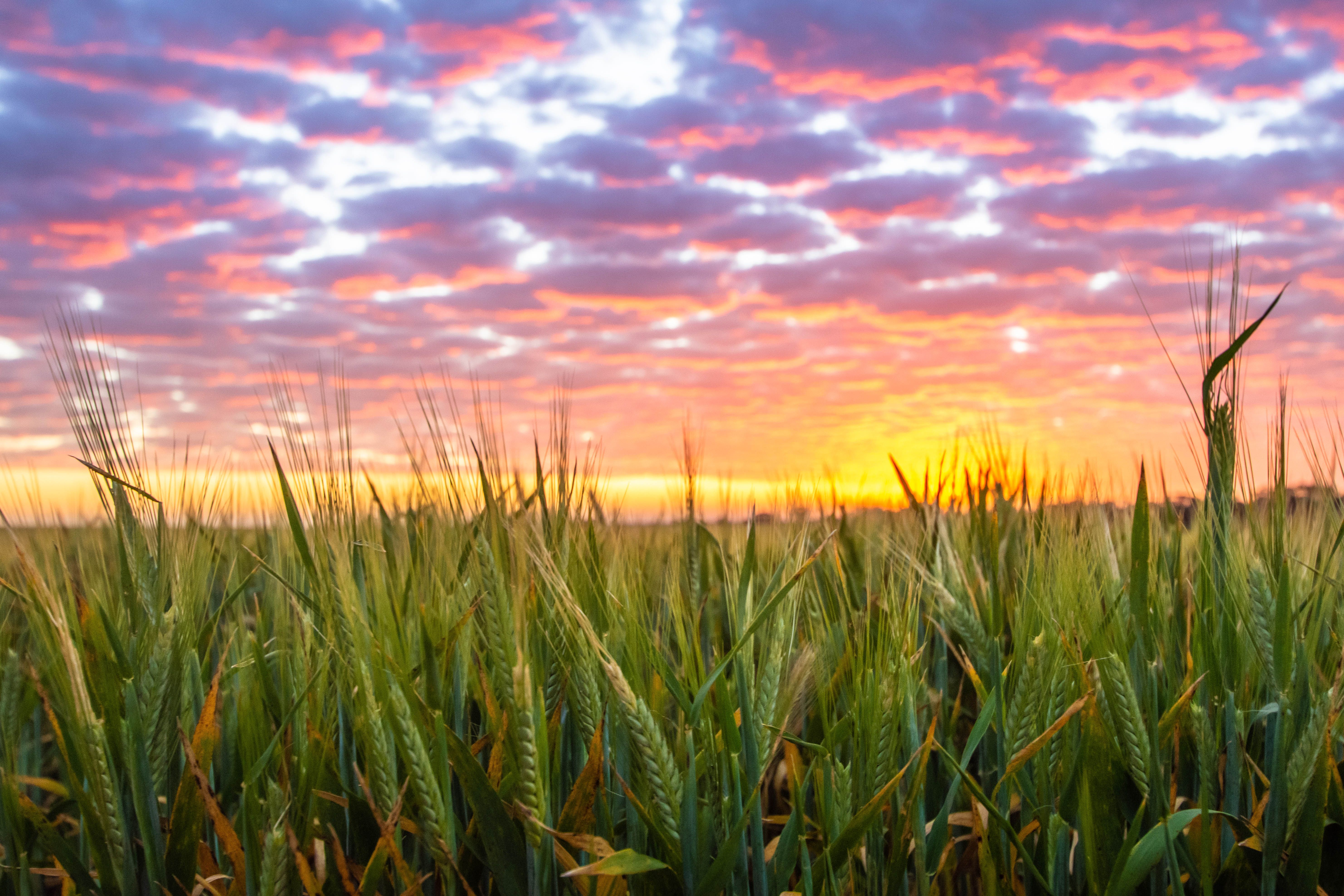 Integration of Key Grains Bodies Welcomed as a Positive Step | Building ...
