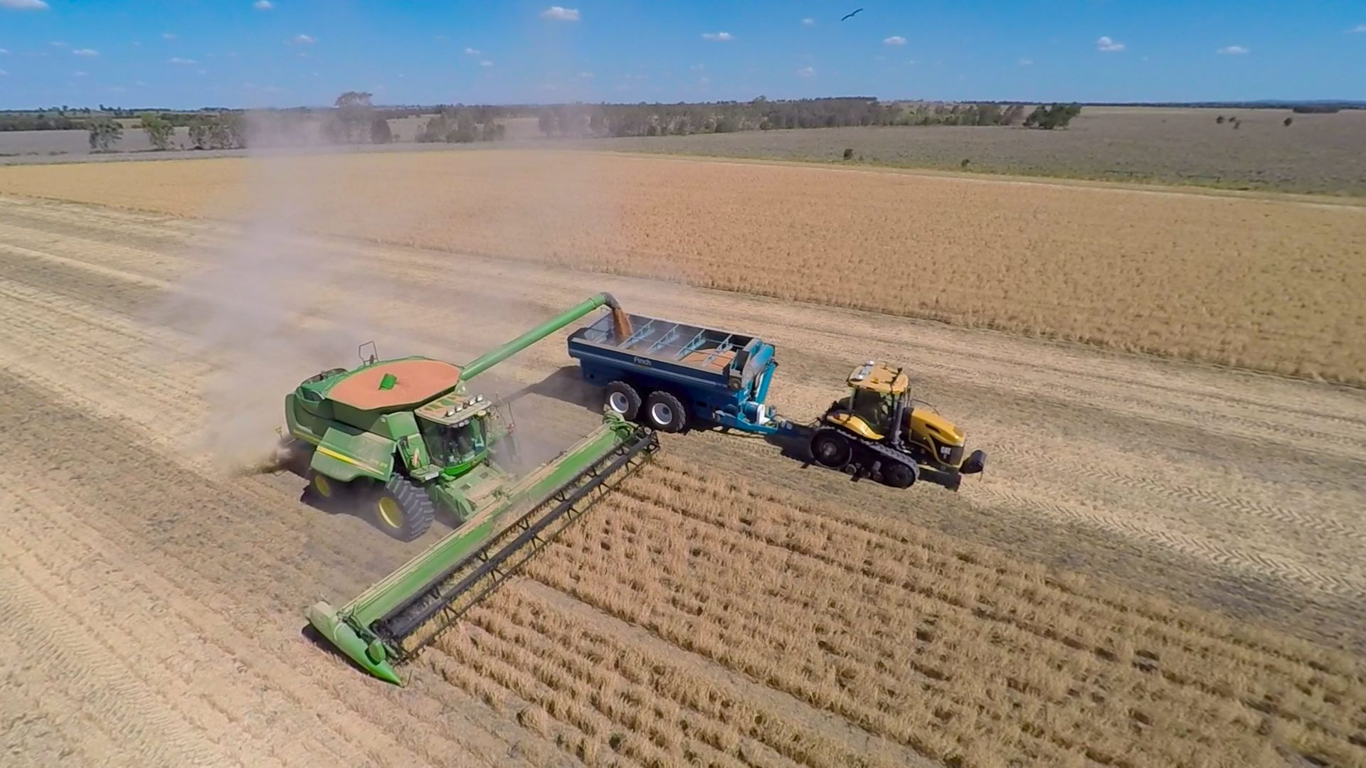 Growing the economy: Australian grain growers have their say | Building ...