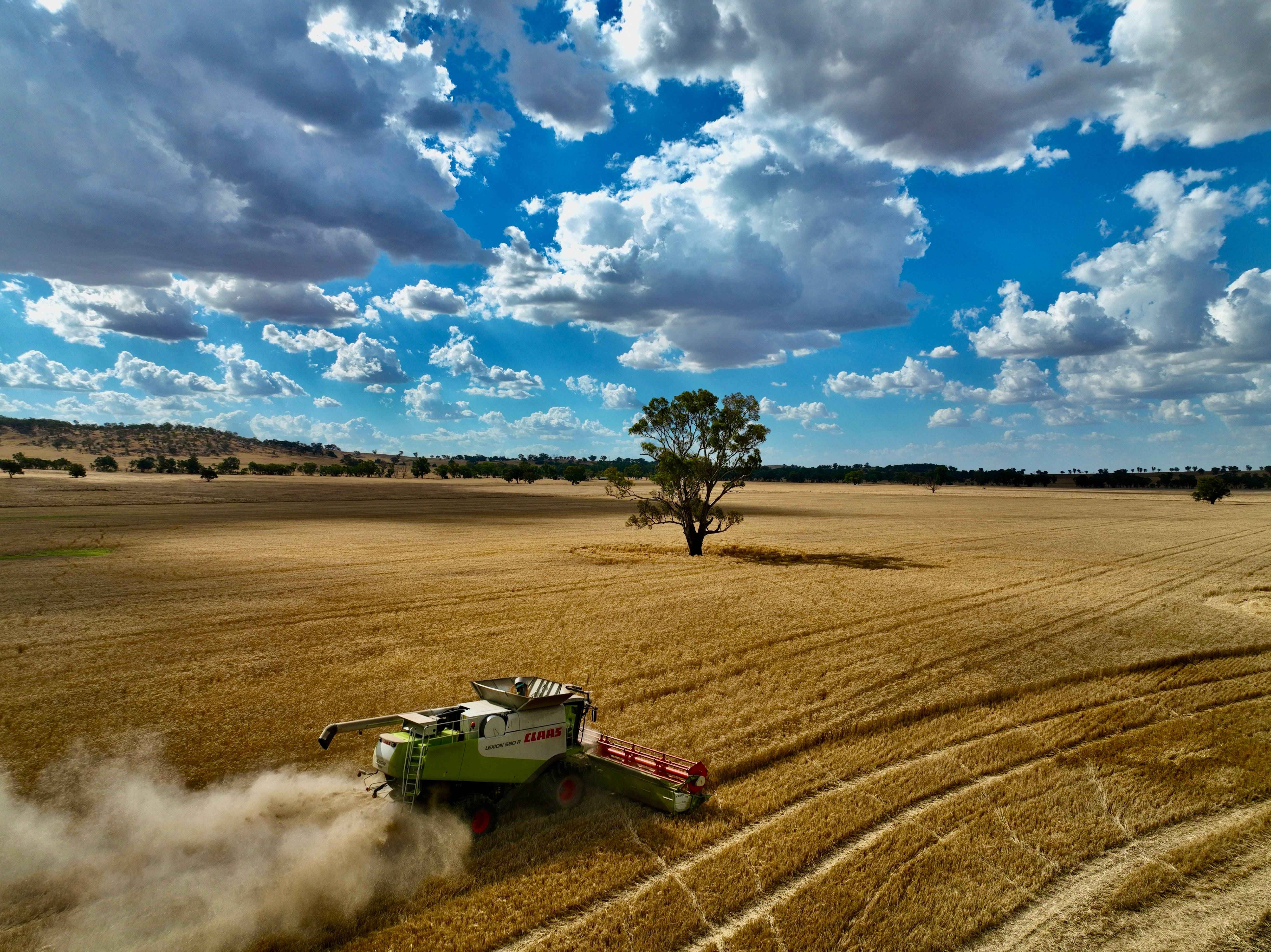 New work on the Grains Sustainability Framework | Building a more ...