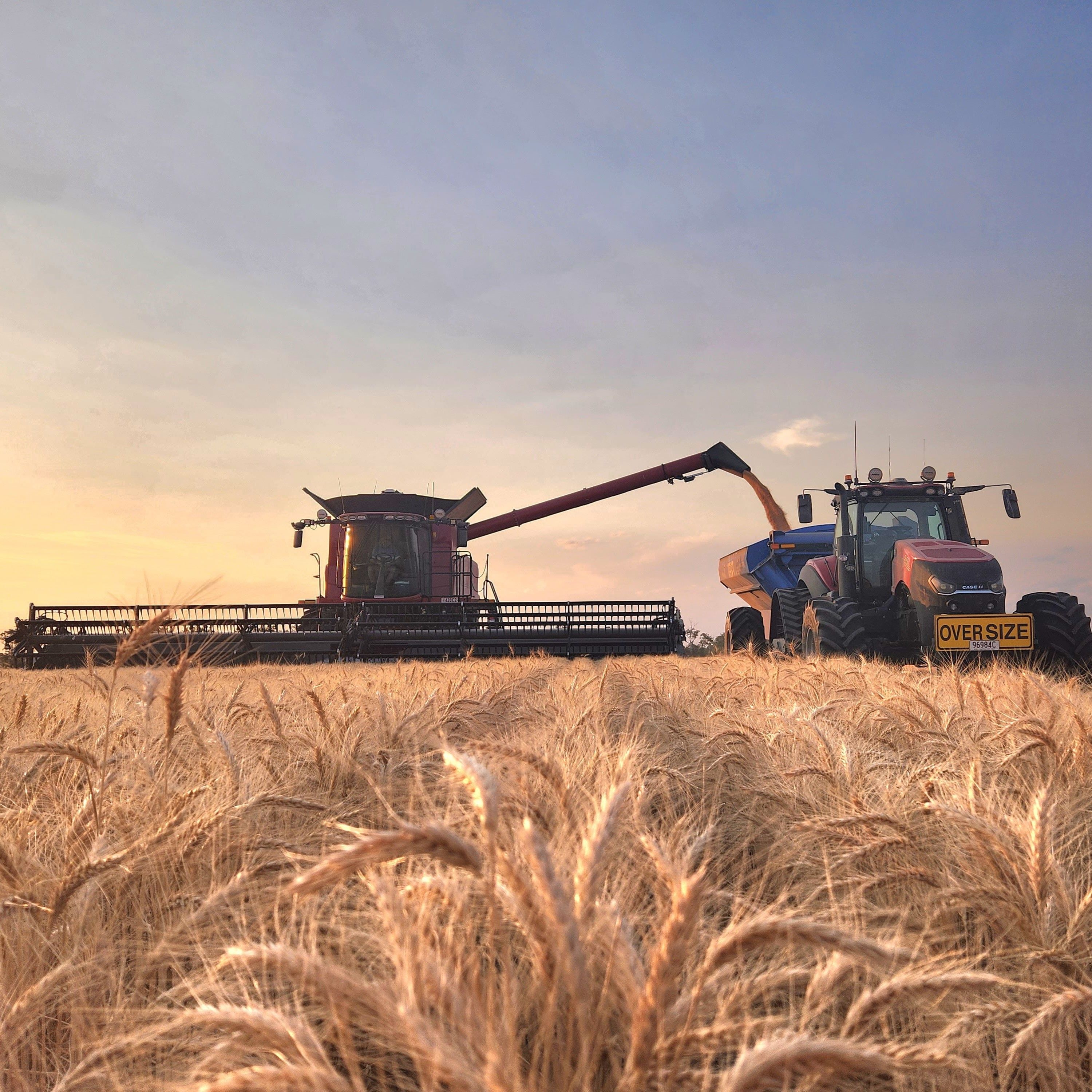 GrainGrowers | Building a more profitable and sustainable industry for ...