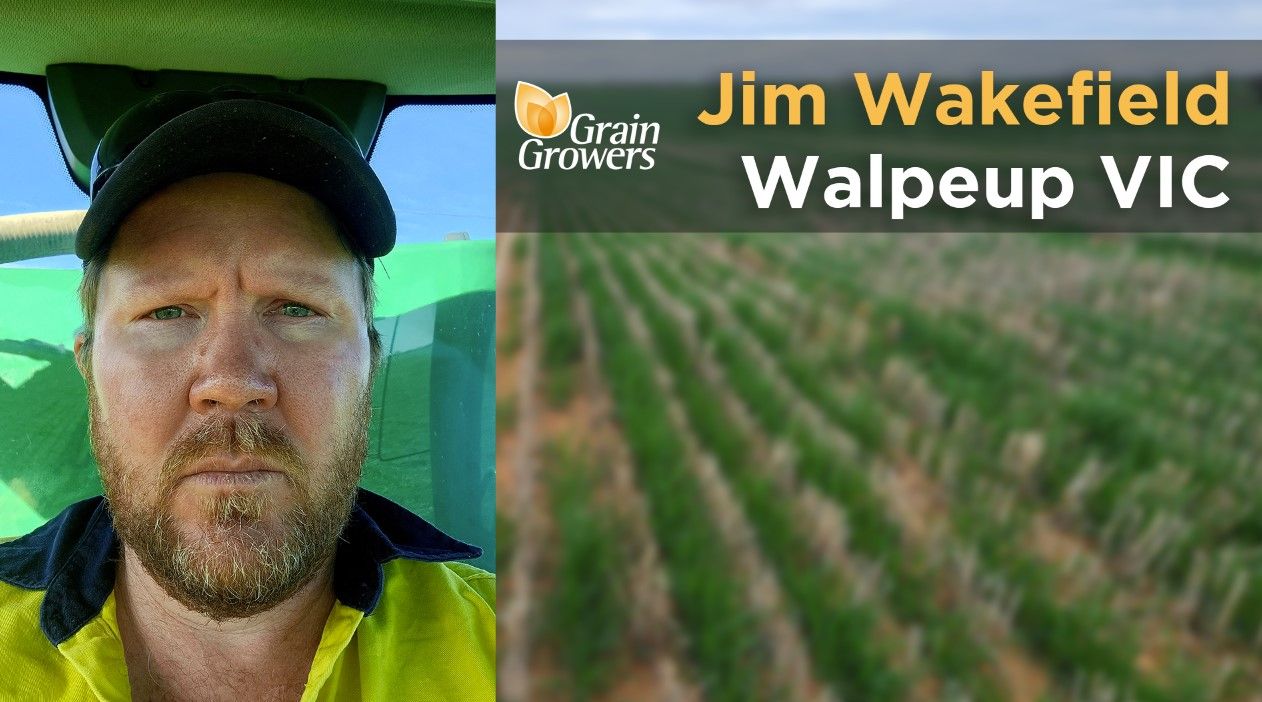 Paddock Perspectives | Jim Wakefield – Walpeup, VIC | Building a more ...
