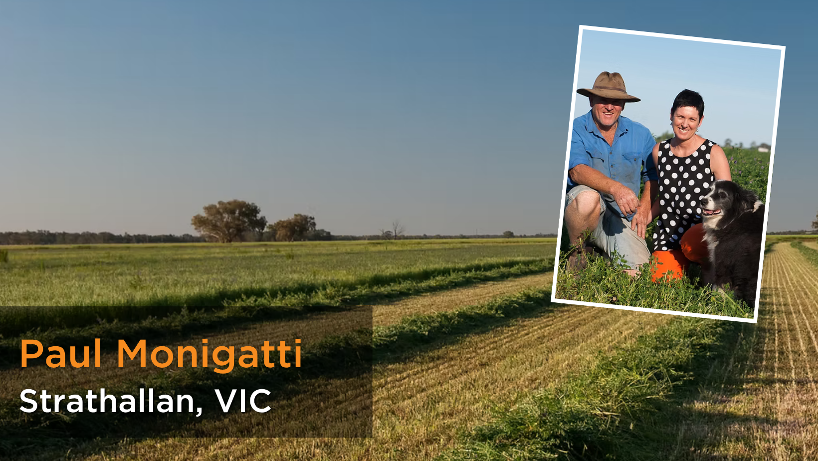 Paddock Perspective | Paul Monigatti - Strathallan, VIC | Building a ...